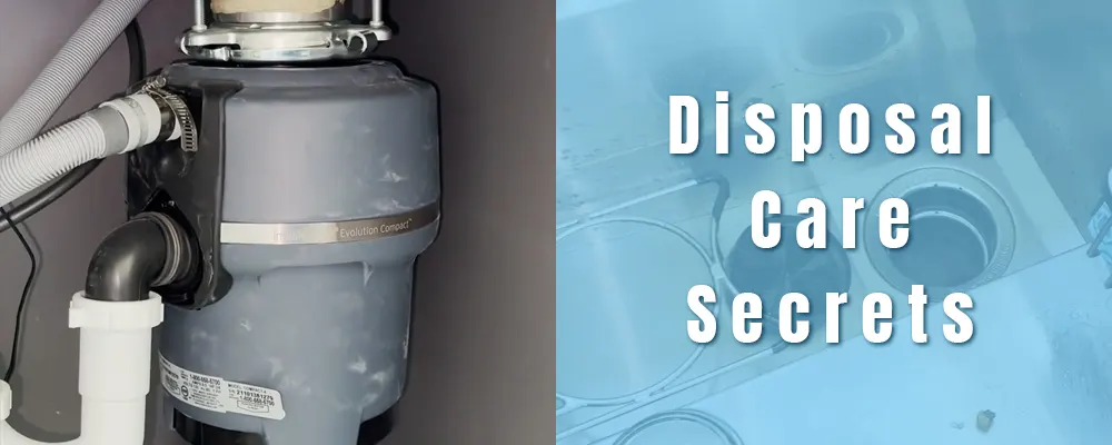 A Comprehensive Guide on How to Clean Your Garbage Disposal