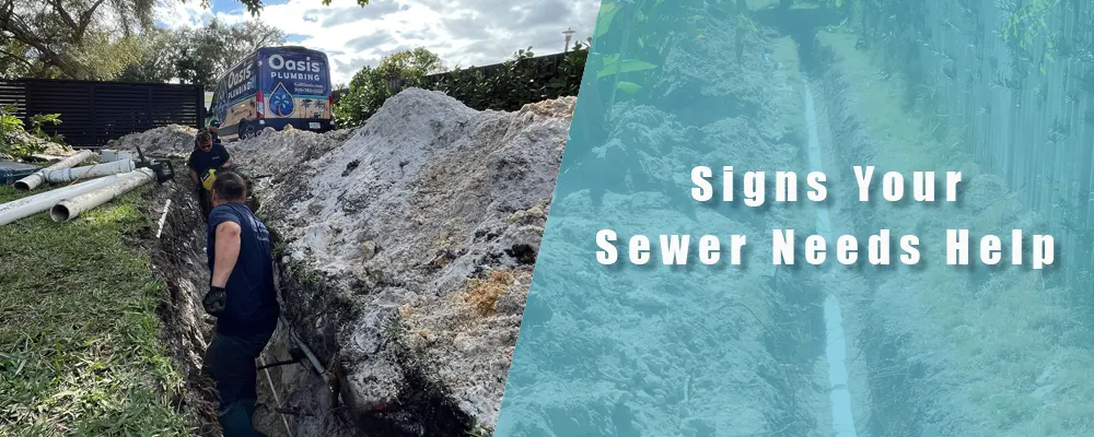 Understanding Sewer Repair and When You Might Need It