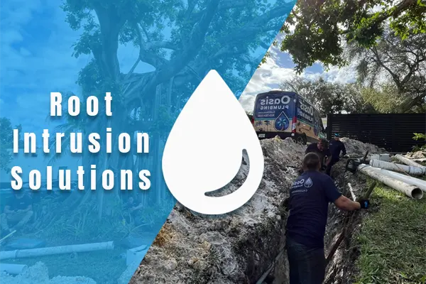 The Role of Tree Roots in Drain Clogs: Prevention & Removal